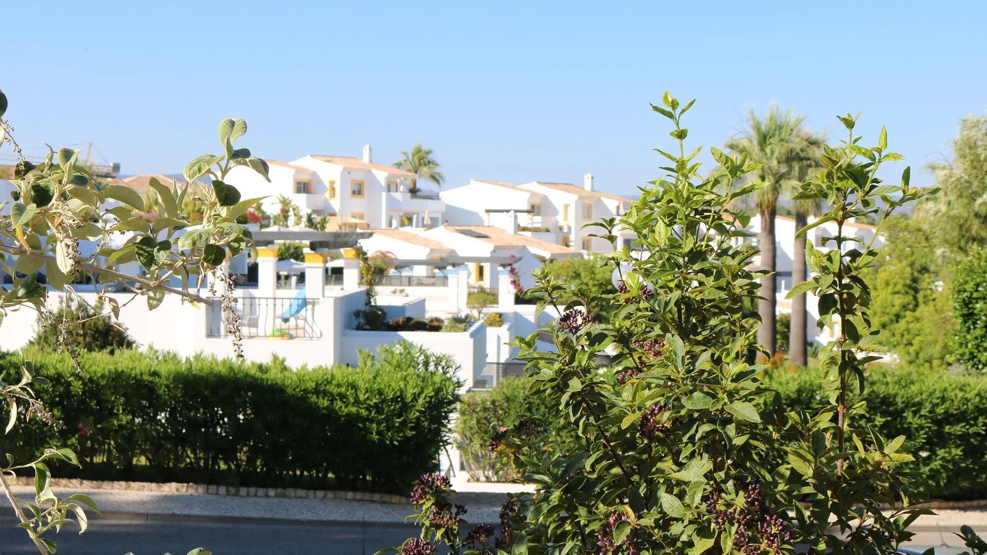 Behind the Scenes at Fairways - Four Seasons Fairways